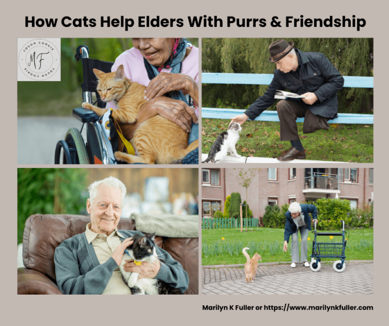 How Cats Help Elders » Marilyn K Fuller